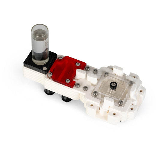 Complete Ant-Keeping Kits | Ant Dimension