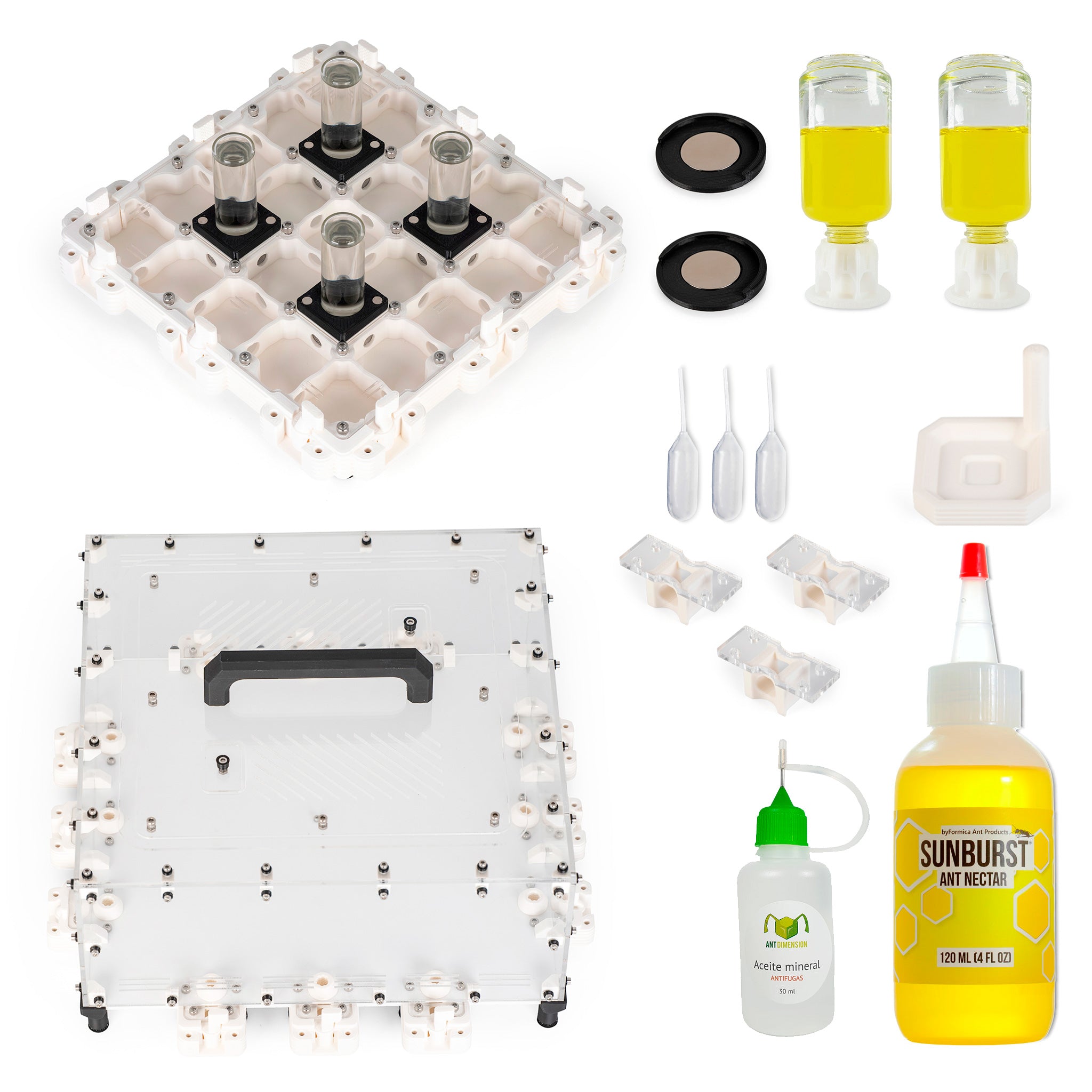 Large Kit | Ant Dimension