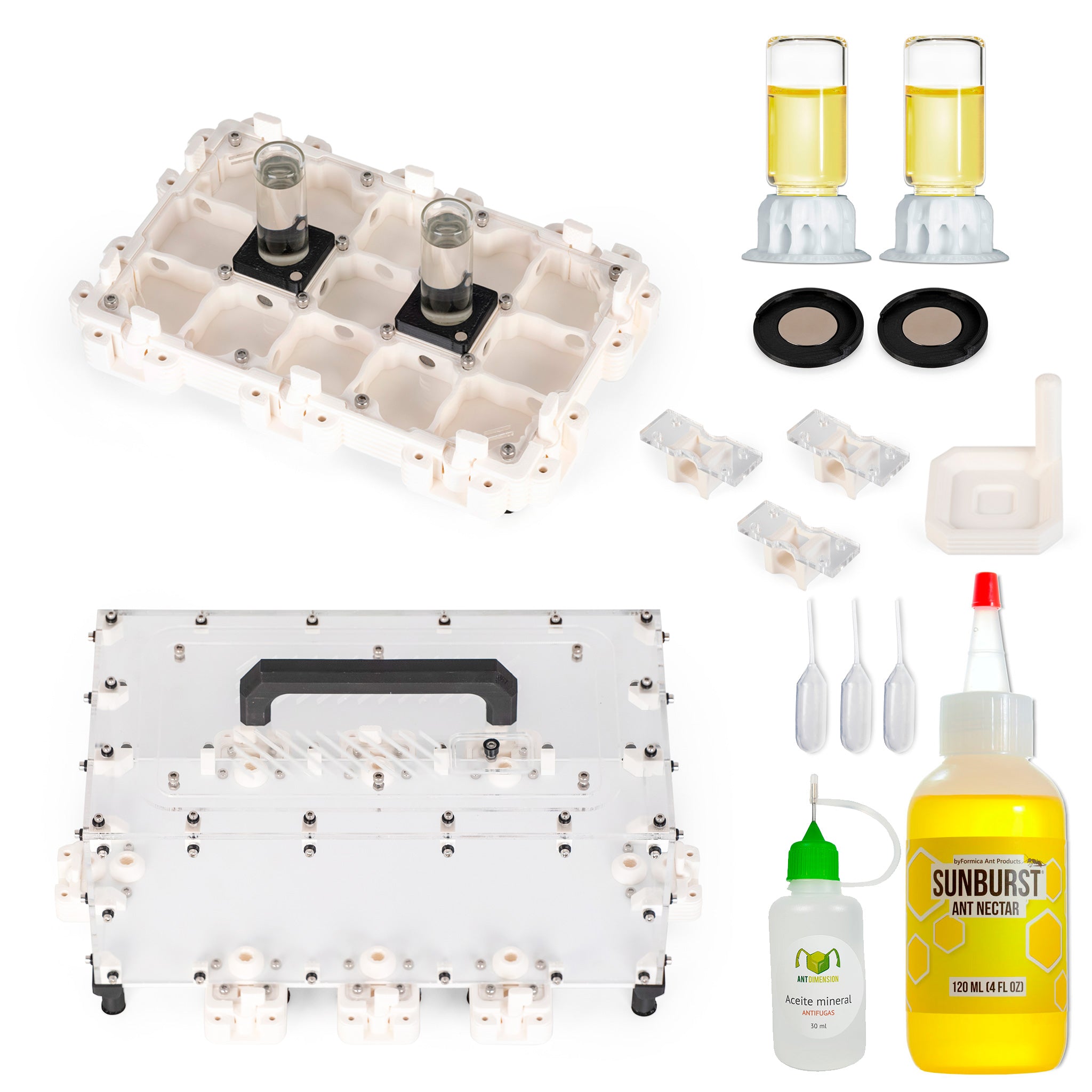 Medium Kit | Ant Dimension