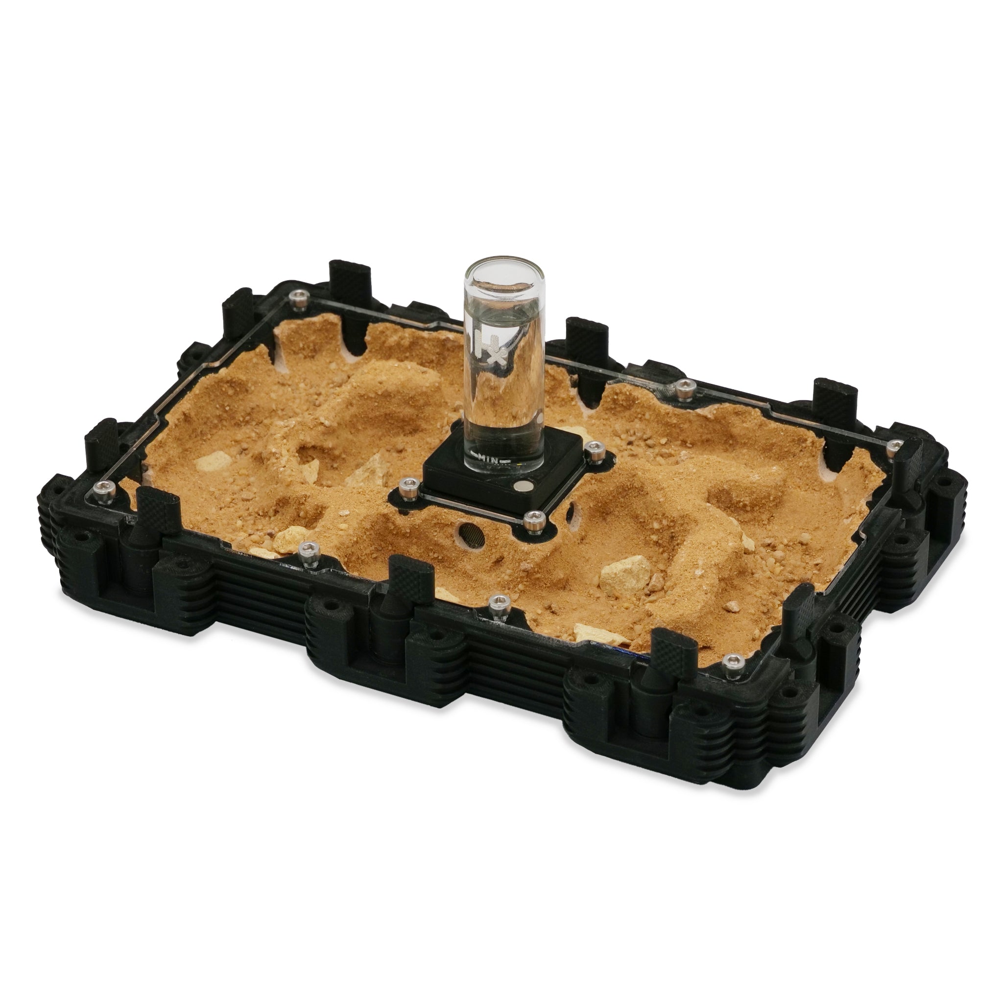 Buy Natura Formicarium 3:2 | Ant Dimension